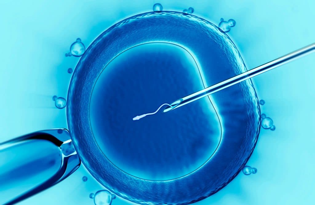 Our Fertility Treatment Options | Fertility First